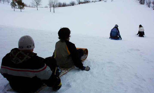The Ultimate Guide to Tobogganing Adventures - Eagle Stays