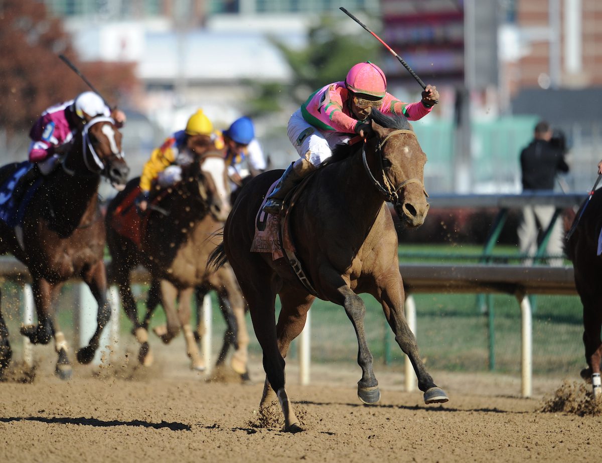 5 Must-Know Facts About the Ohio Derby - Eagle Stays